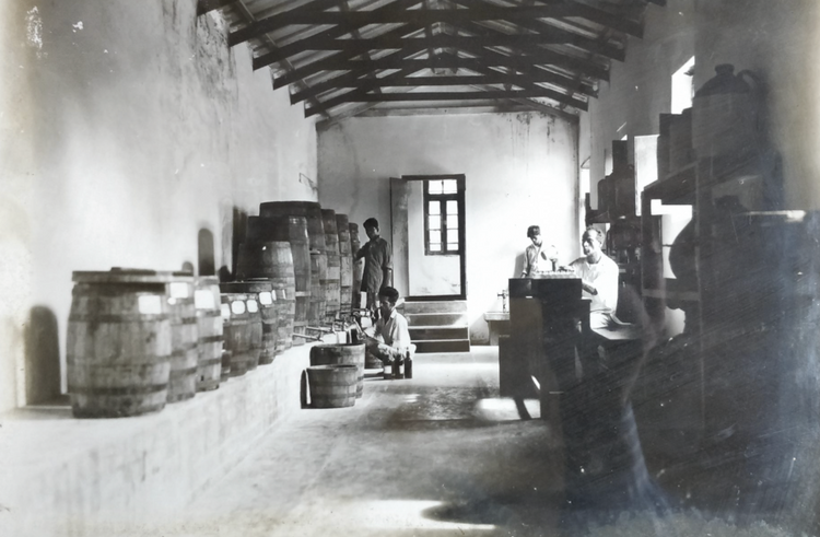 Official Site | Nanjangud Tooth Powder | ನಂಜನಗೂಡು ಹಲ್ಲು ಪುಡಿ ...